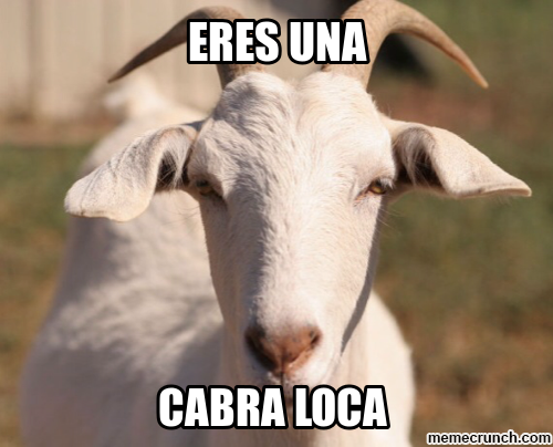 La cabra es el nuevo gato | Grazia