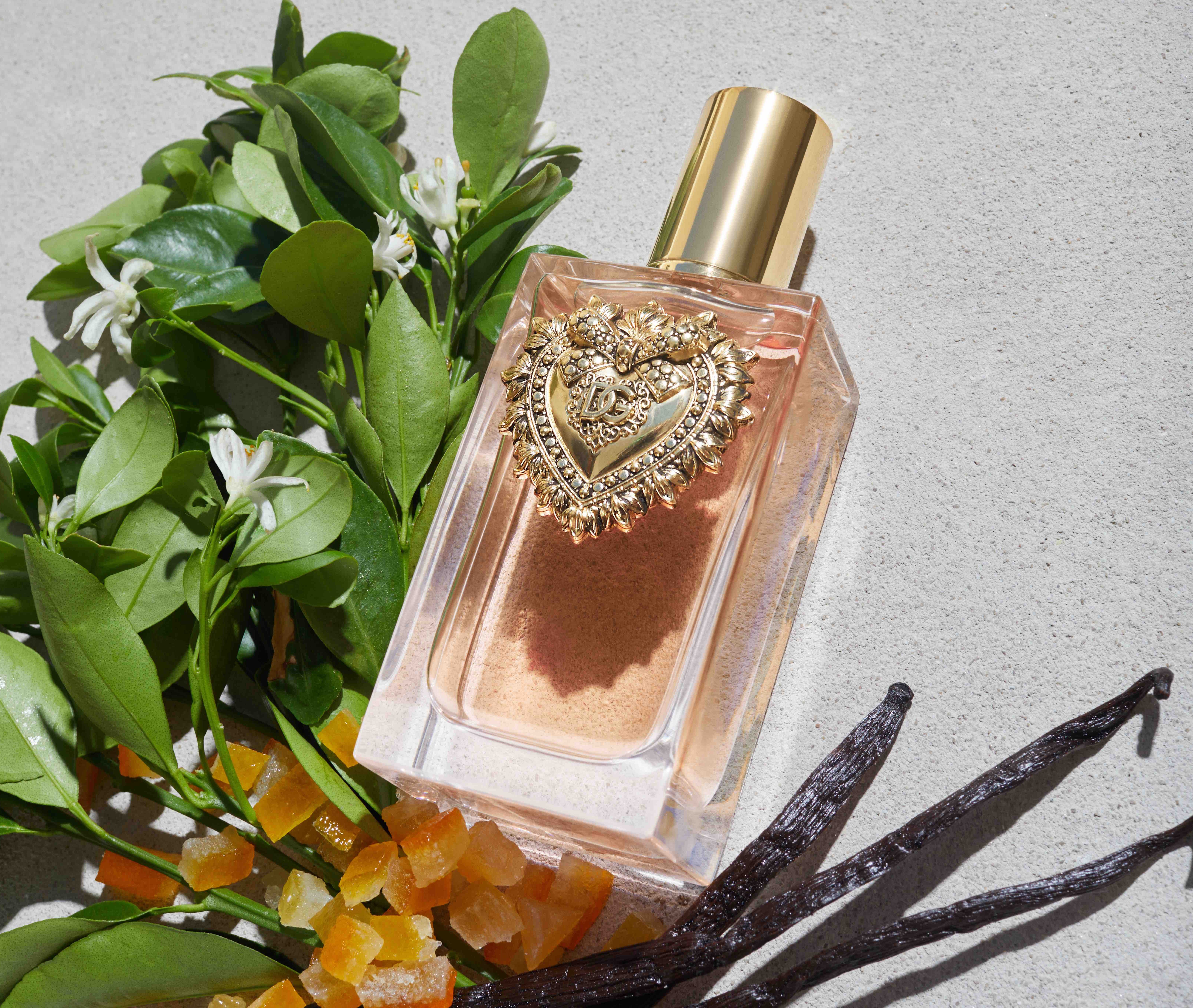 Un perfume que llega directo al corazón: lo nuevo de D&G | Grazia