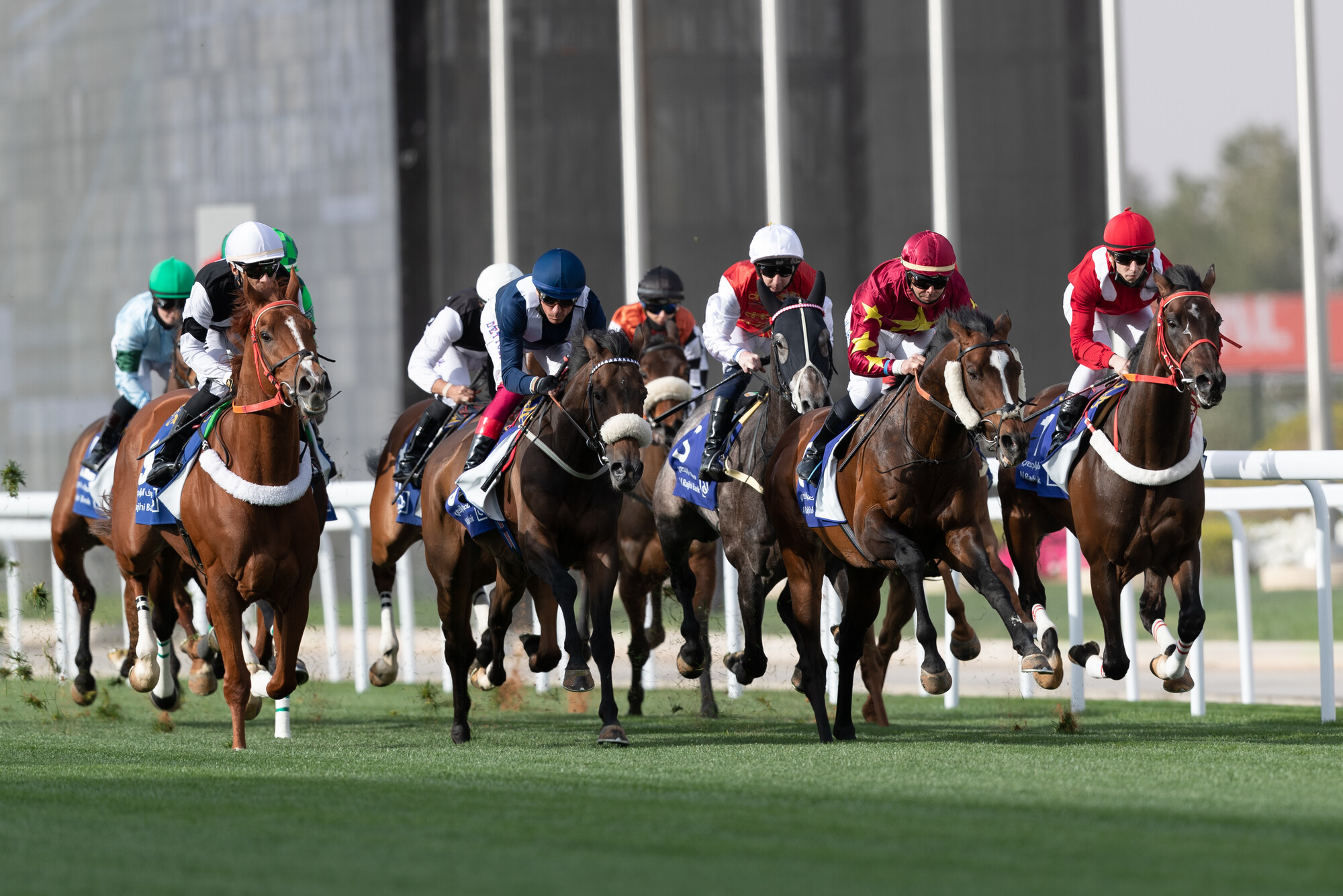 The Saudi Cup Is Offering The World's Largest Prize Money