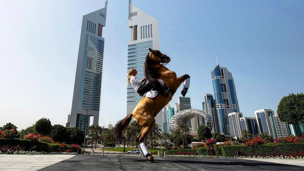 Here's Everything We Know About Sheikha Maitha's Show Horses