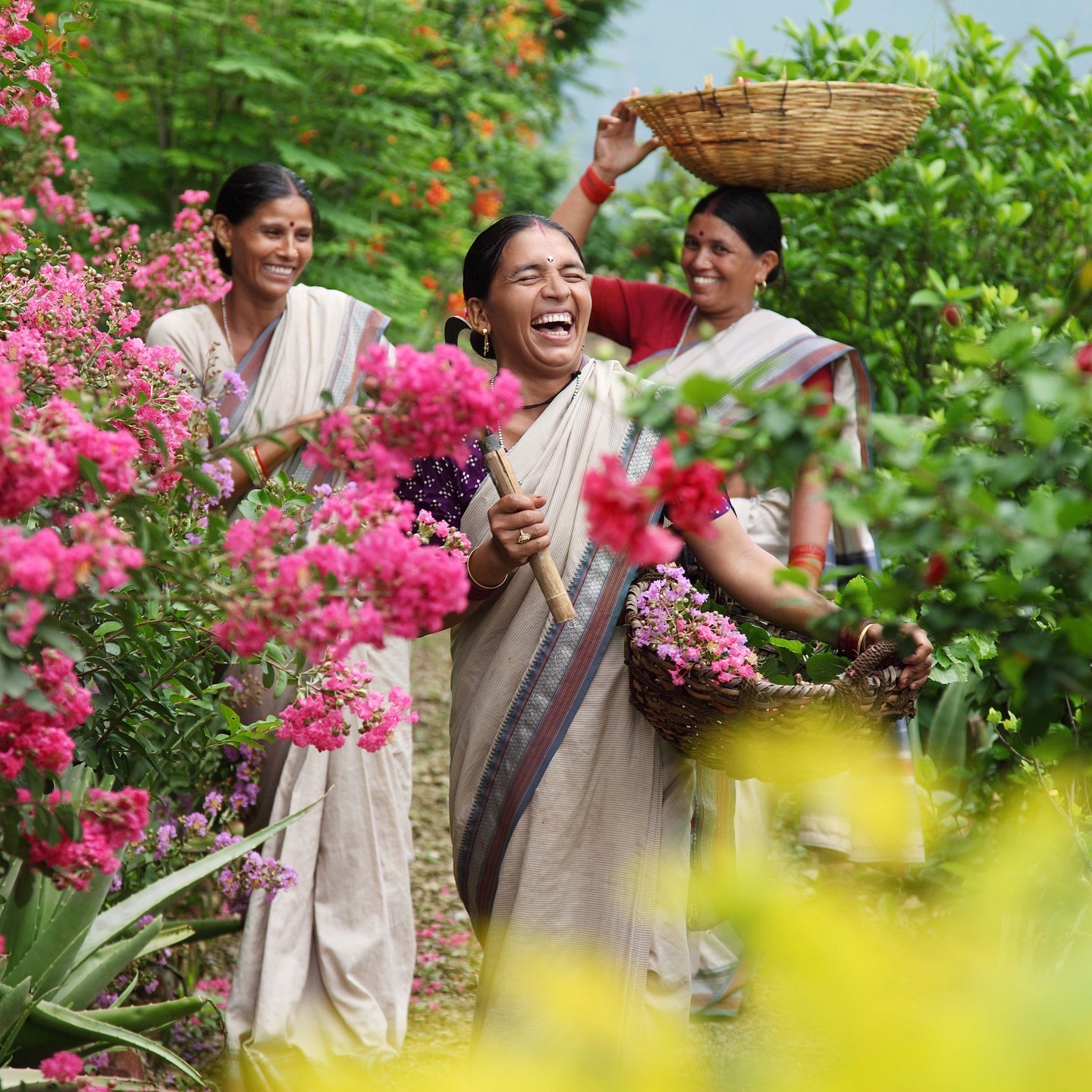 Forest Essentials: Behind The Luxury Ayurvedic Beauty Brand