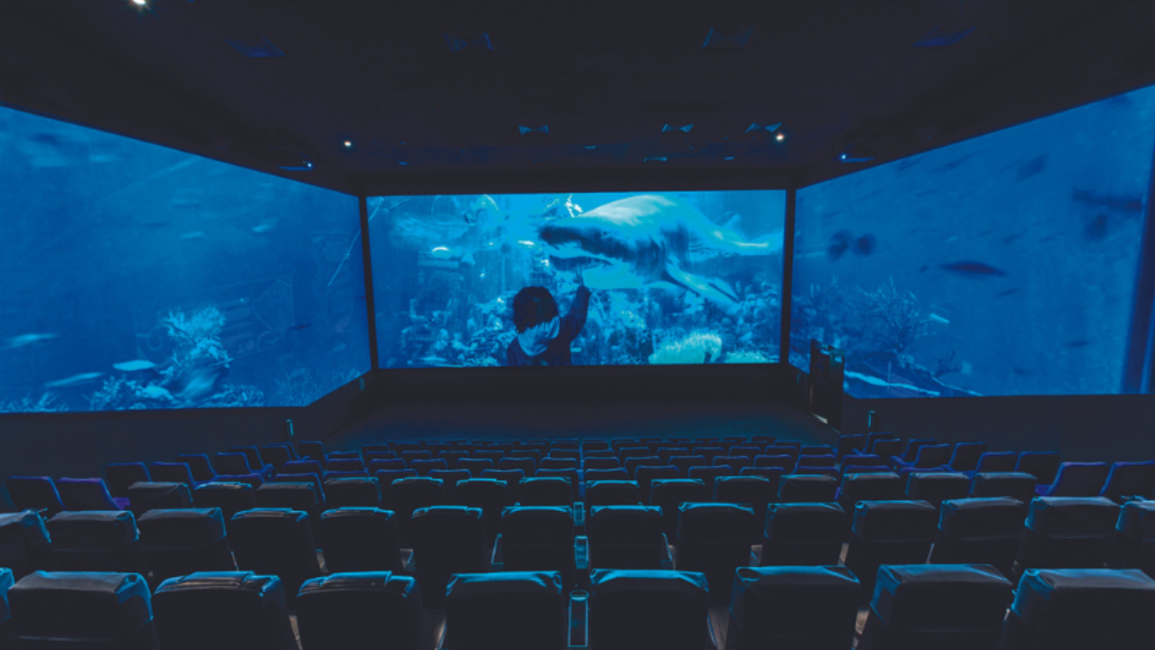 Best Cinemas In The UAE: The GRAZIA Guide