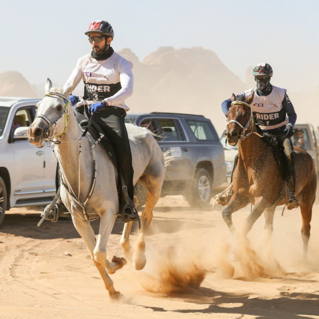 Inside The Dubai Royals Influence On Horse Racing Globally