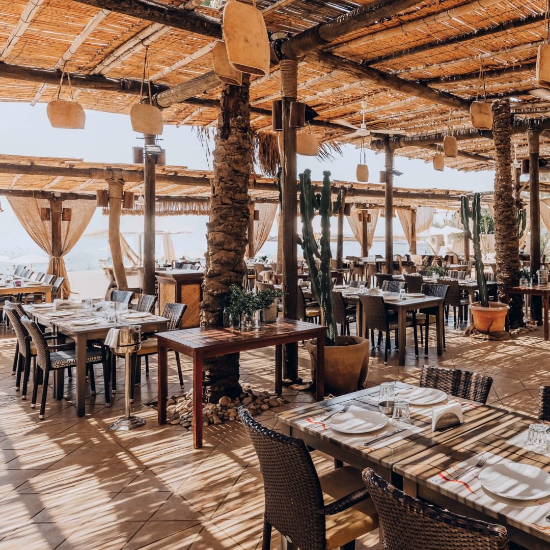 Inside The Love Is Blind Habibi Hotel EddeSands