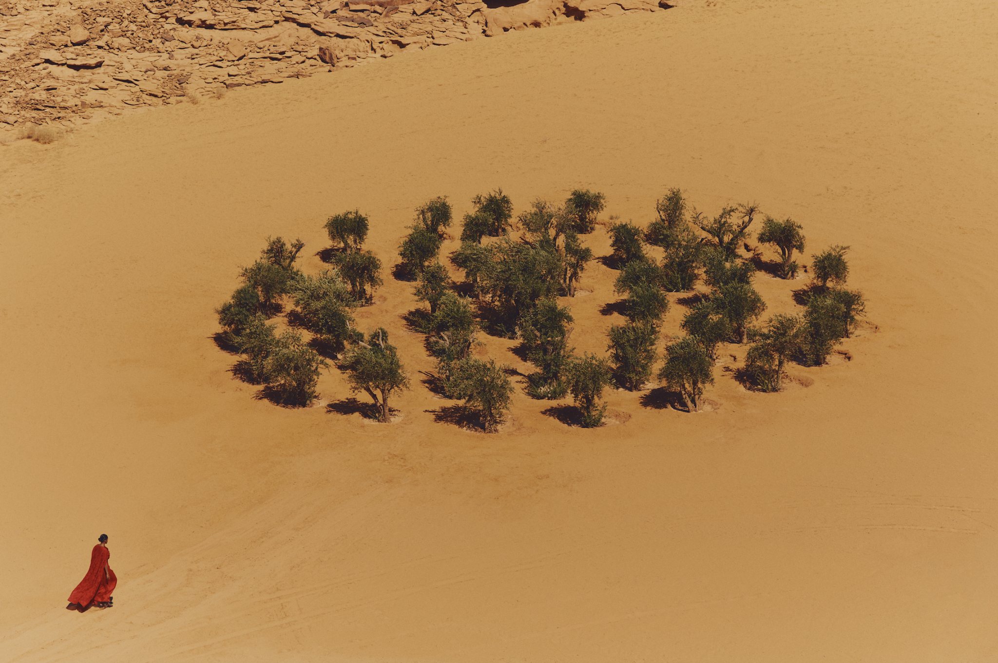 AlUla Moments: The Ultimate Guide To The 2024-2025 Season