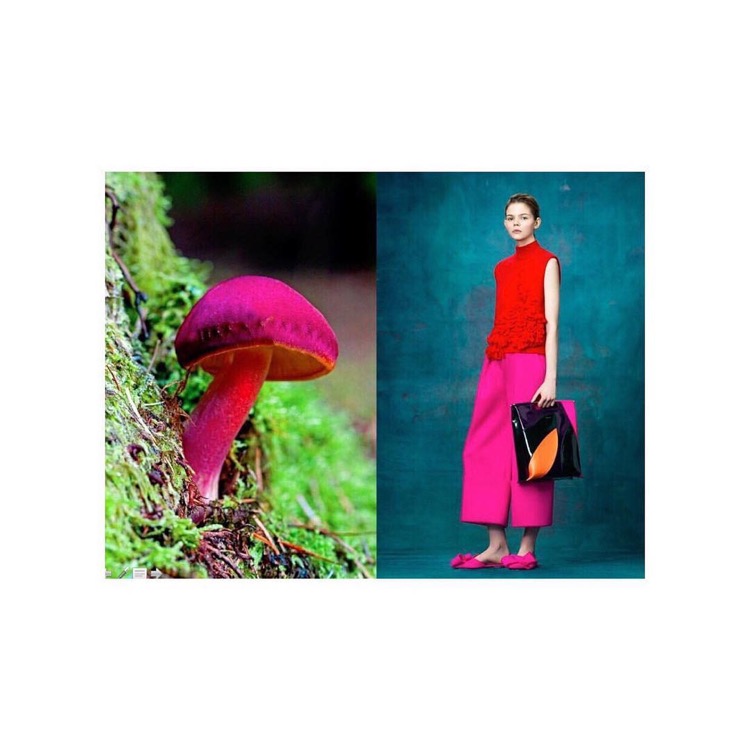 EL COLORIDO FEED DE JOSEP FONT | Grazia México y Latinoamérica