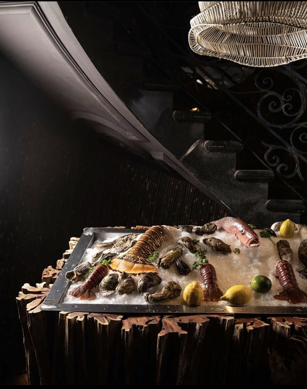 Beluga un lugar lleno de sorpresas que necesitas conocer | Grazia ...