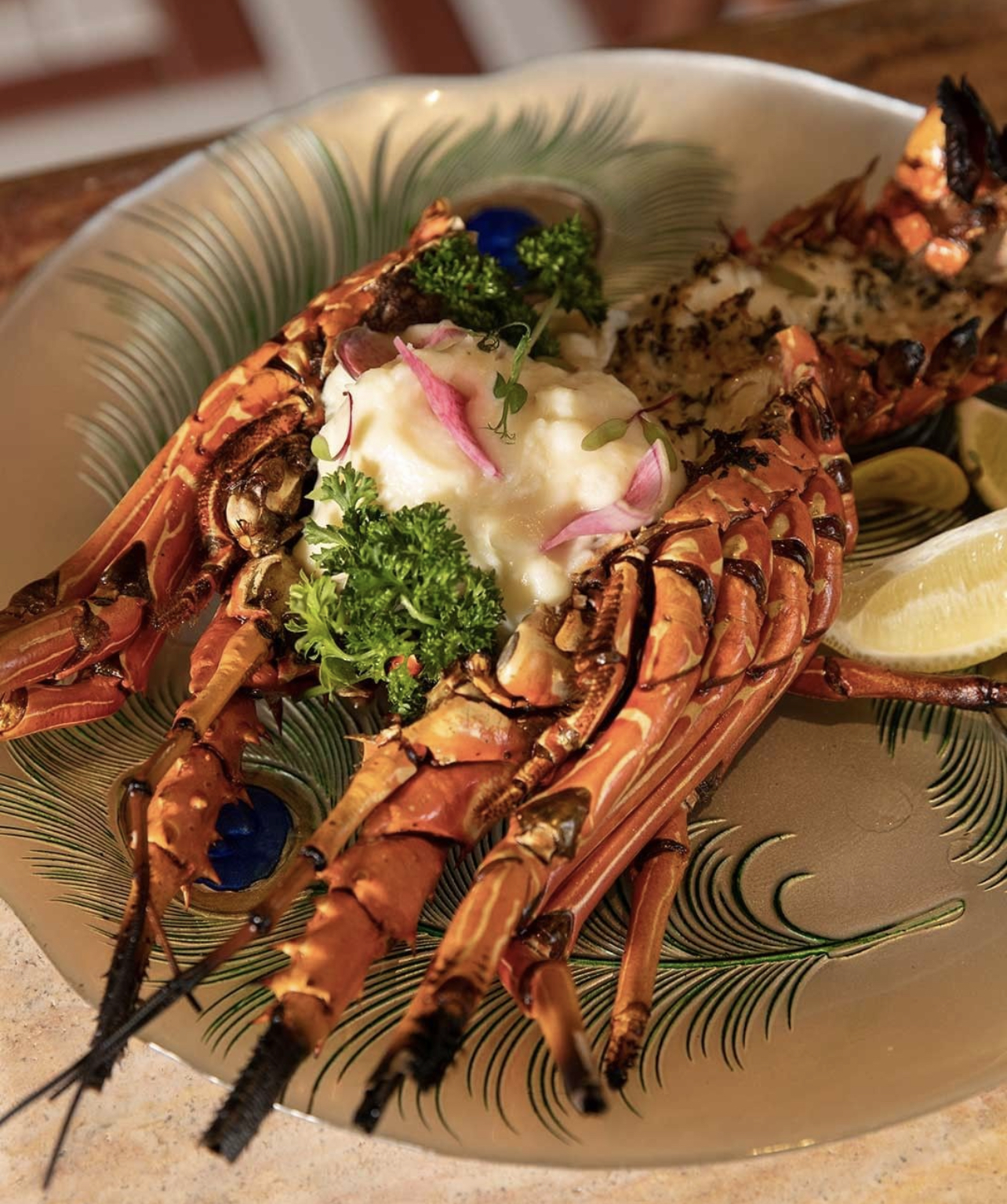 Beluga un lugar lleno de sorpresas que necesitas conocer | Grazia ...