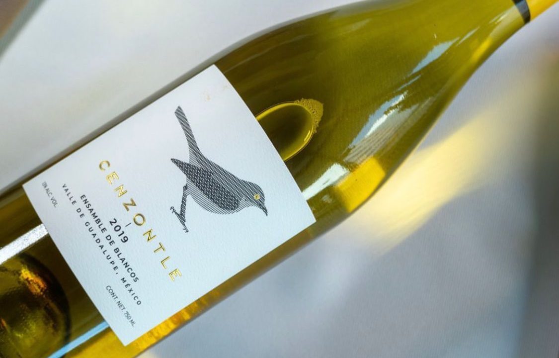 Cenzontle Blanco 2019, el mejor vino blanco mexicano del mundo | Grazia ...