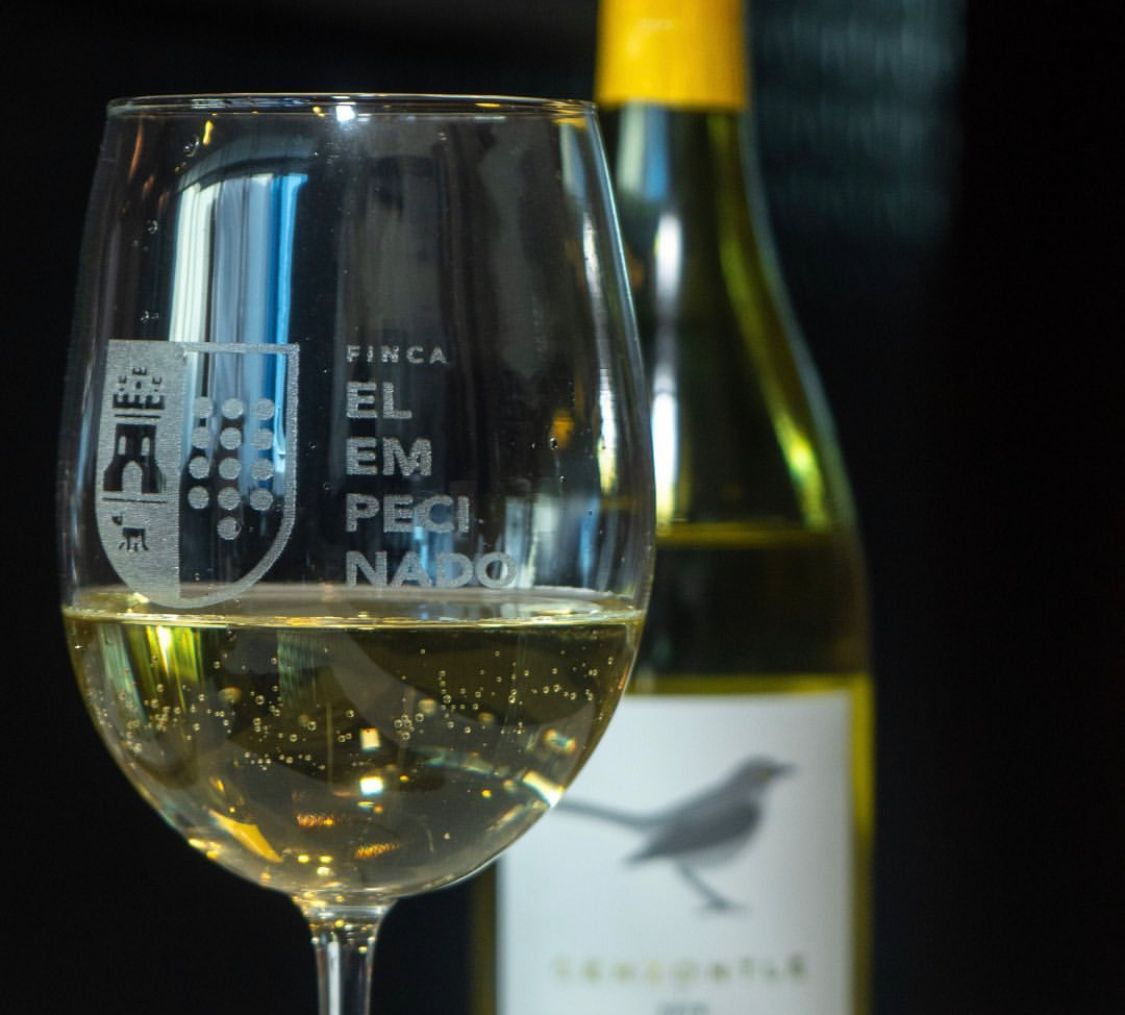 Cenzontle Blanco 2019, el mejor vino blanco mexicano del mundo | Grazia ...