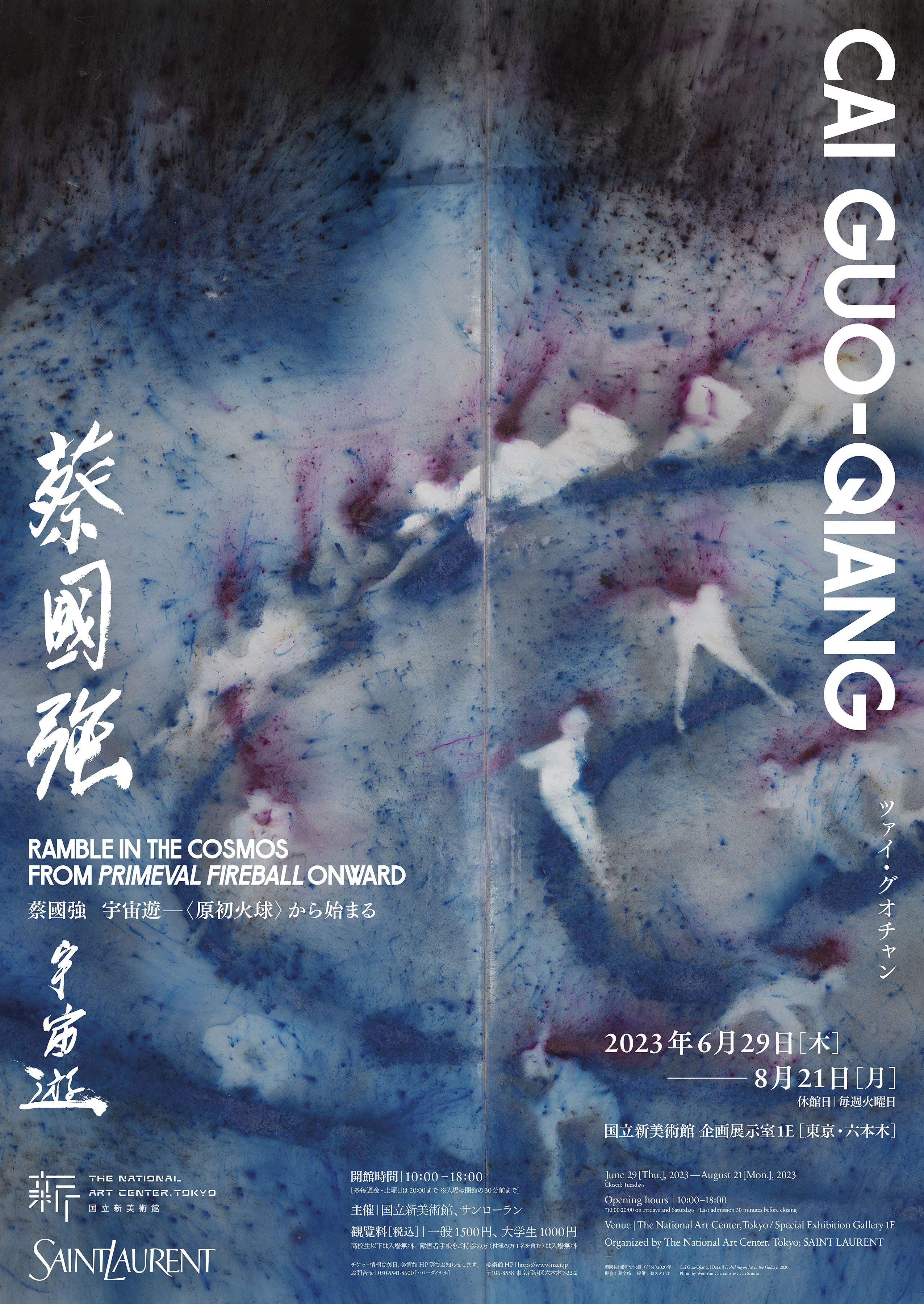 Ramble in the Cosmos―From Primeval Fireball Onward: Una exposición de ...