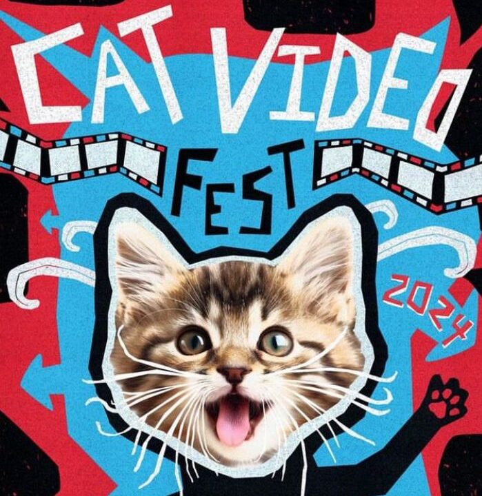 Cat Video Fest: el festival que proyecta una película de gatitos reales ...