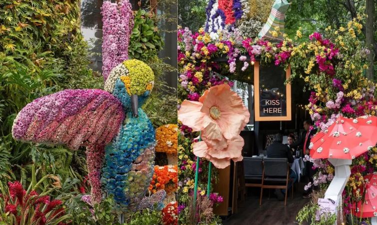 Así se vivió el Festival de Flores en Polanco 2025