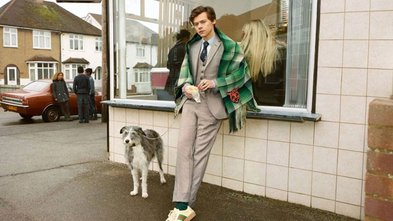 Harry Styles Looked After A Stranger's Dog And There's A Photo