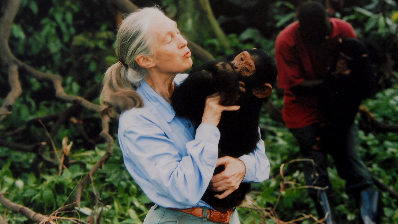 Jane Goodall 'Wonders of Africa Essential Oil Kit' | Grazia