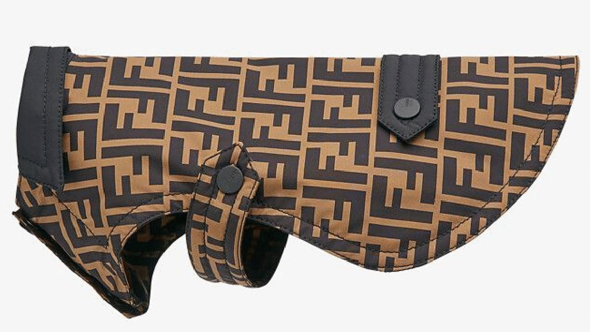 Fendi's New Pet Accessory Line Is the Best Thing You'll See Today