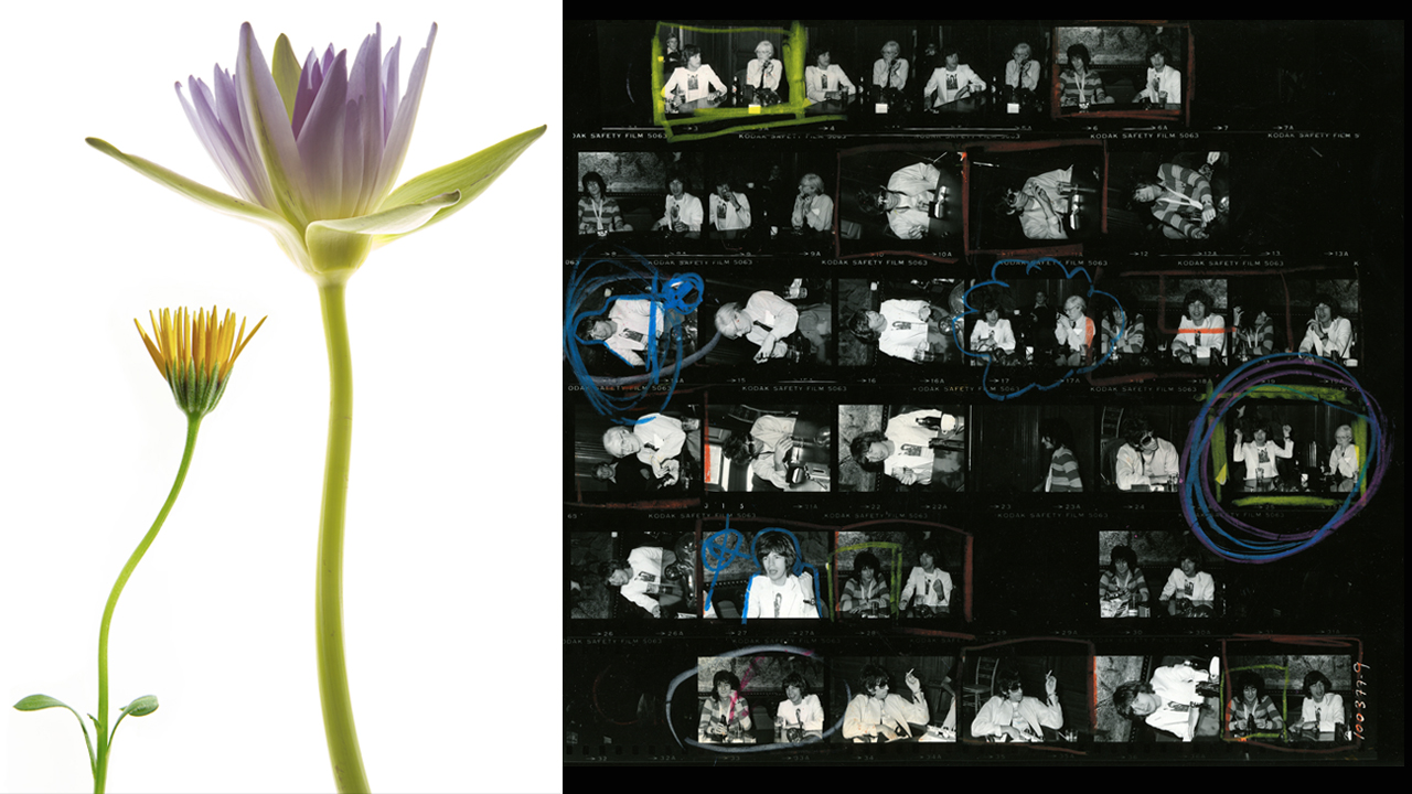 Snap Happy In Southampton: Photographs by Christopher Makos and Paul ...