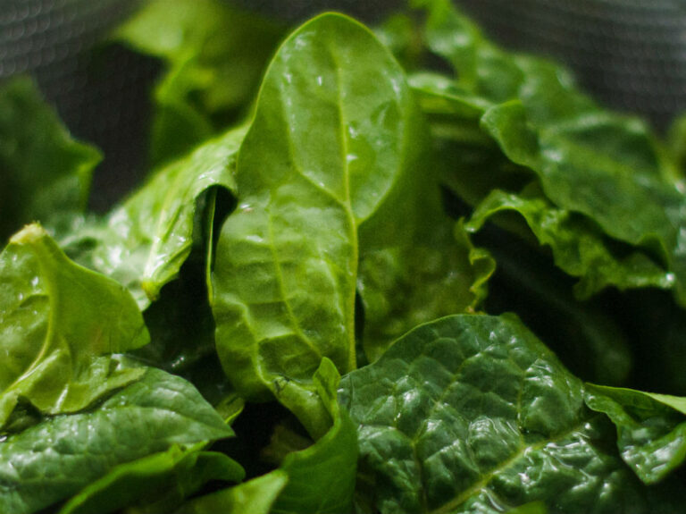 7 Essential Magnesium-Rich Foods for Health - Grazia USA