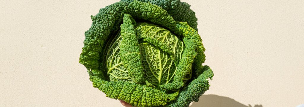 6 (Great) Reasons to Eat Cabbage More Often - Grazia USA