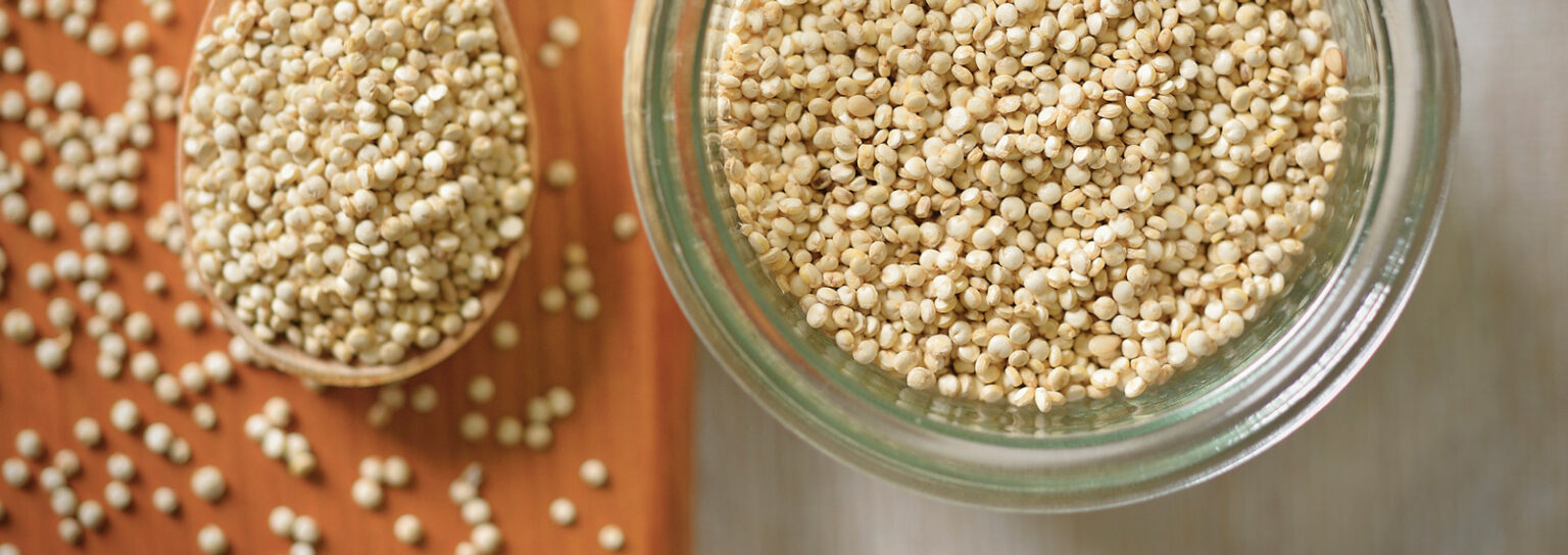 Quinoa, 5 Surprising Benefits to Know - Grazia USA