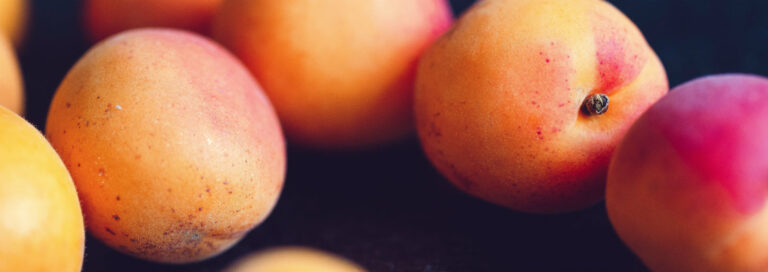 5 Good Reasons to Eat (More) Apricots This Summer - Grazia USA
