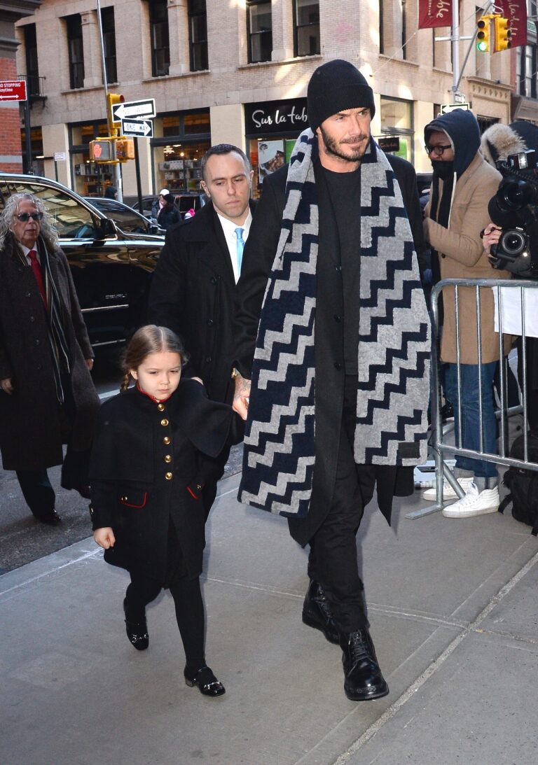 David Beckham & Harper Seven Photos: Dad & Daughter Goals