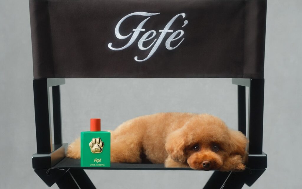 Dolce & Gabbana Launches Fefé Dog Perfume