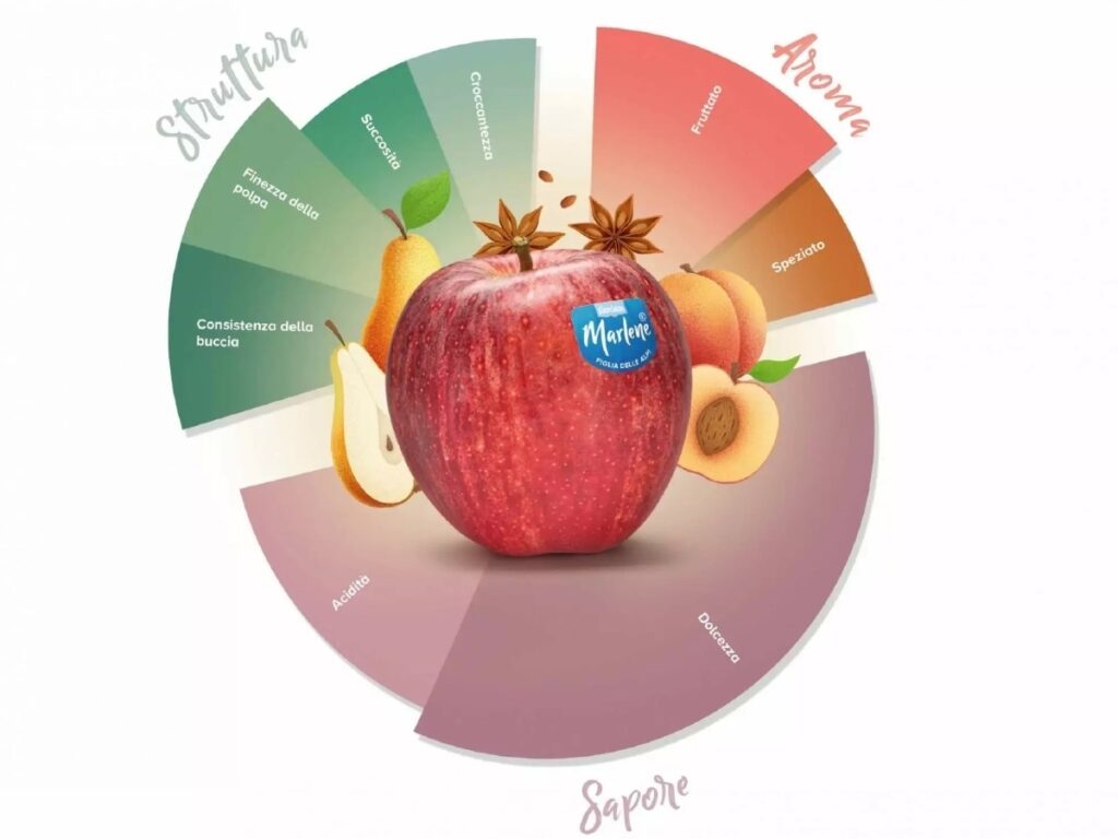 An Apple a Day Really Does Good (Here’s Why) - Grazia USA