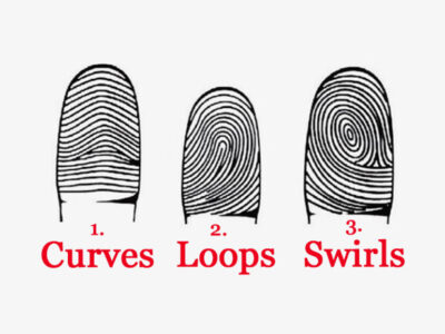 Fingerprints Reveal Our Personality Traits - Grazia USA