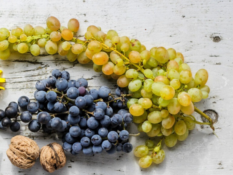 7 Reasons Why You Should Eat More Grapes - Grazia USA