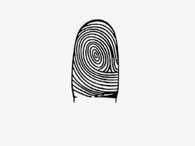 Fingerprints Reveal Our Personality Traits - Grazia USA