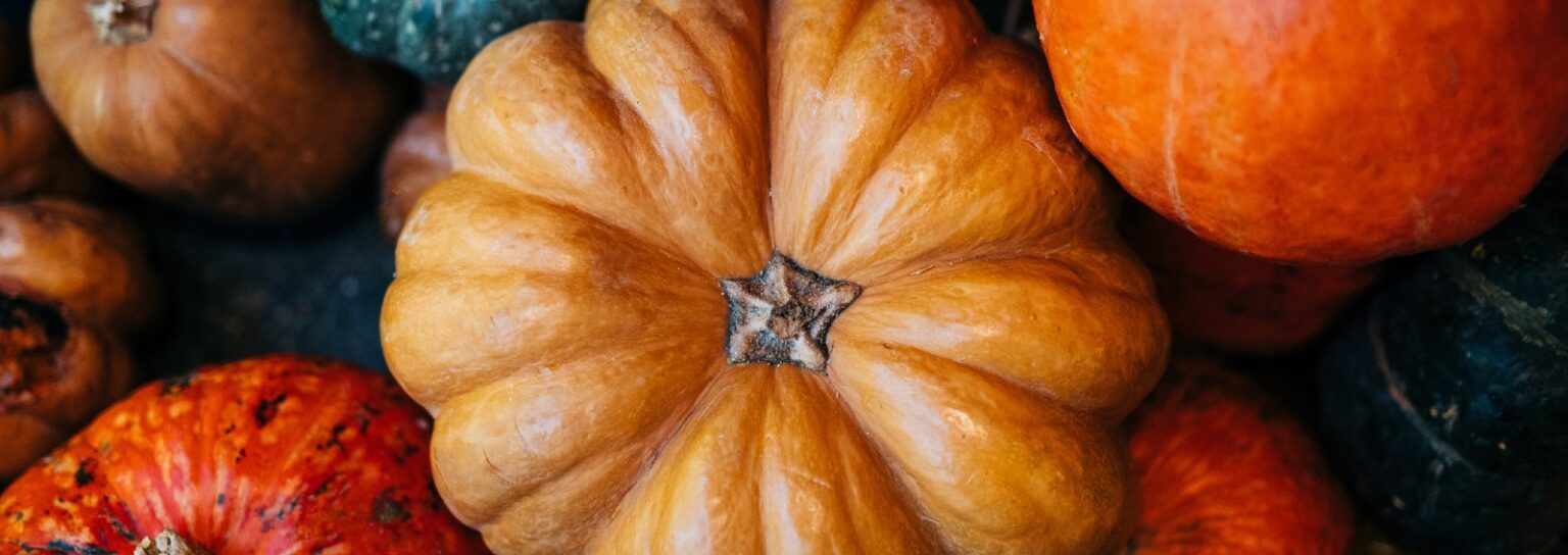 5 Health Benefits of Pumpkin You’ll Love - Grazia USA