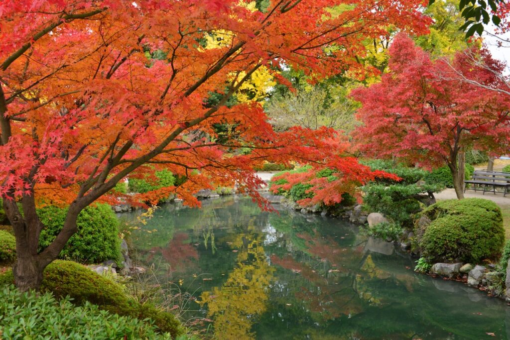 Dior Pre-Fall 2025 Show at Kyoto's Tō-ji Temple
