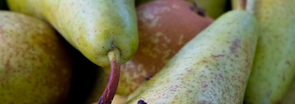6 Great Reasons to Eat More Pears - Grazia USA