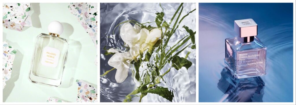 10 Fresh Perfumes for Spring/Summer 2025 - Grazia USA