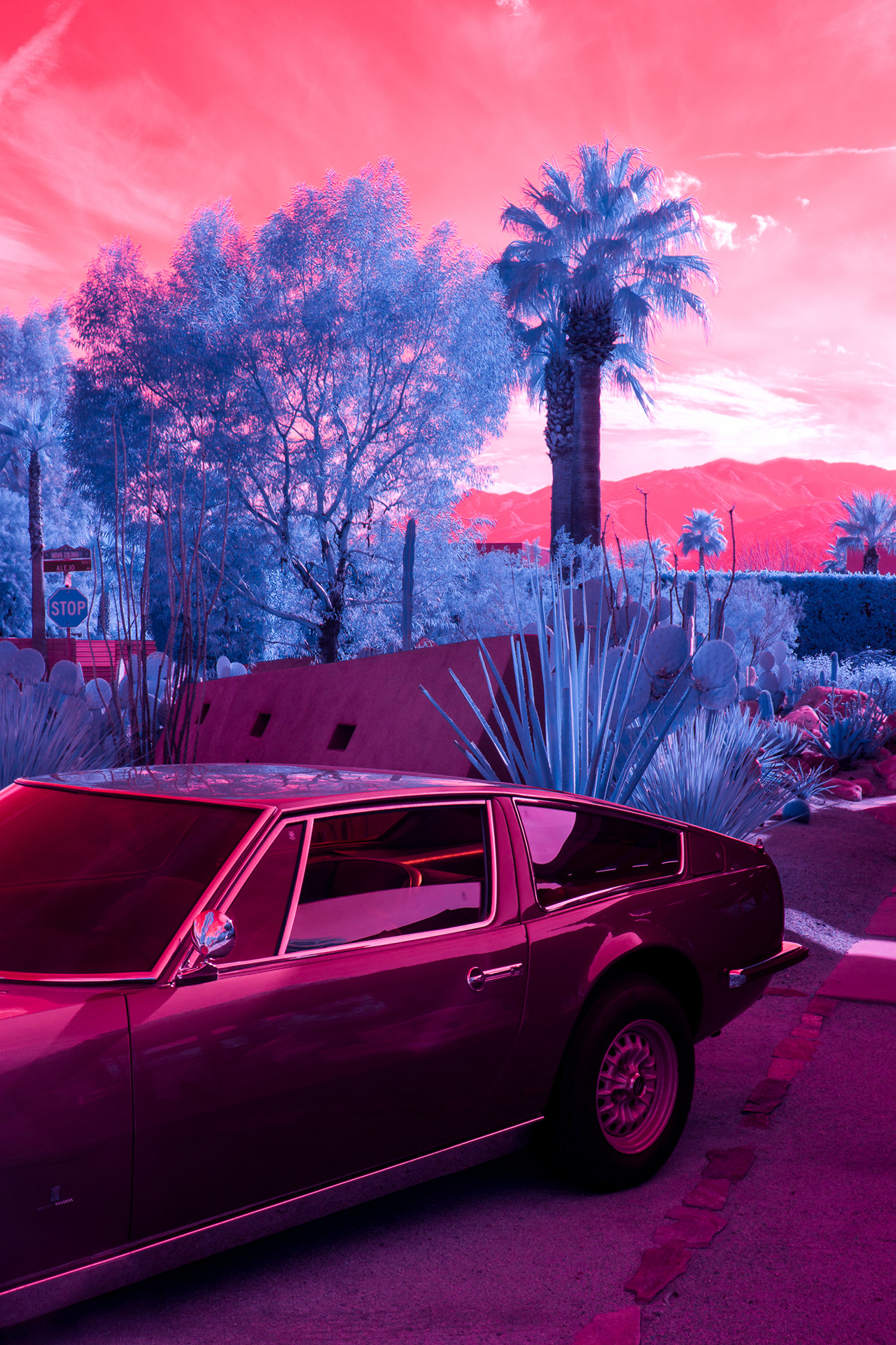 The photographer Kate Ballis is creating her own pink print