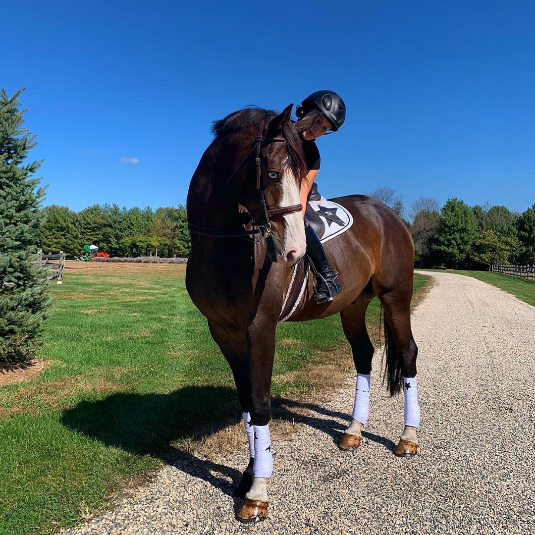 Bella Hadid's Horse Is Chic - Grazia
