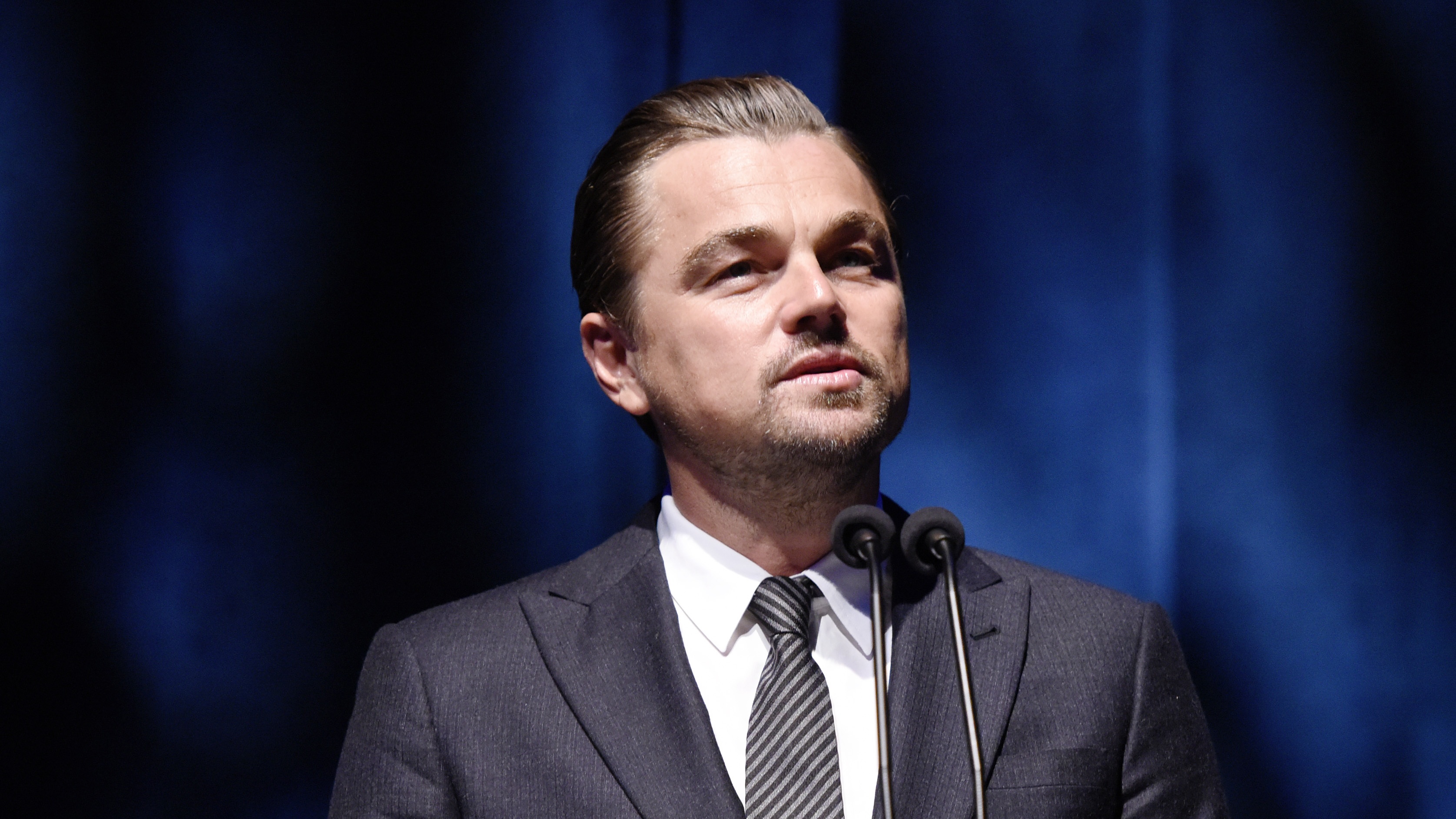 Leo Points To Australia's Woeful Conservation Record - Grazia
