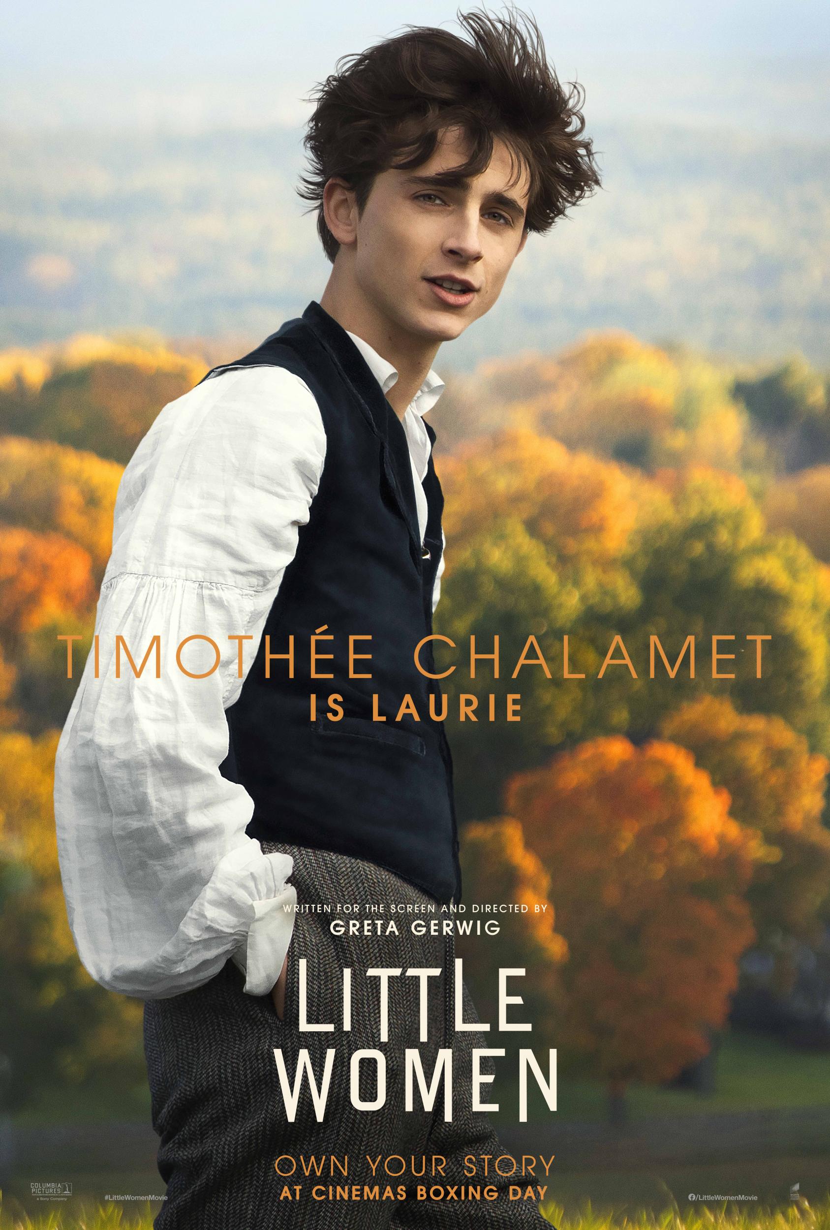 little-women-timothee-chalamet-laurie-character-poster- Grazia