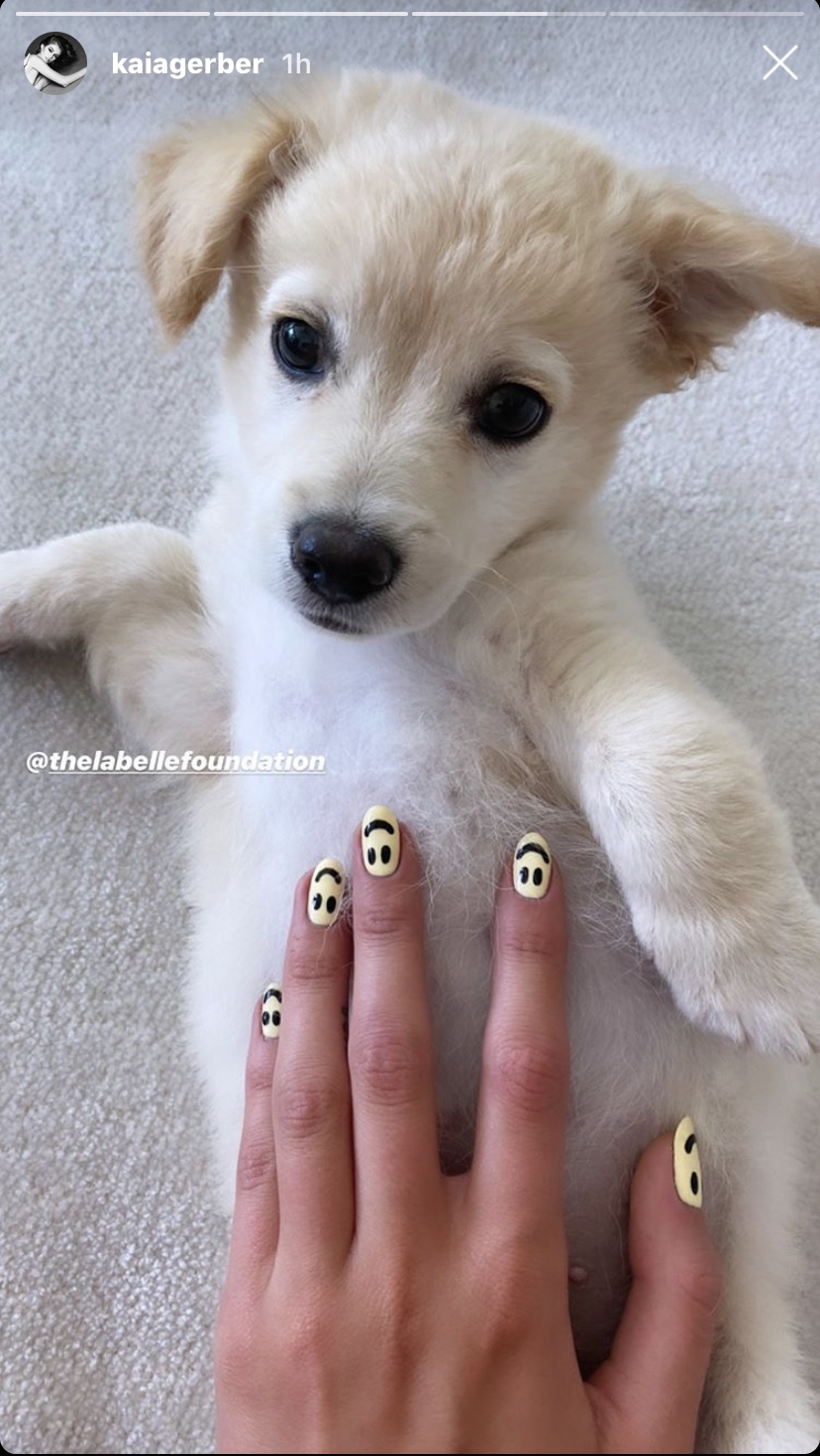 Kaia Gerber Adopts A Rescue Puppy - And Gives Him A Fashion Spin - Grazia