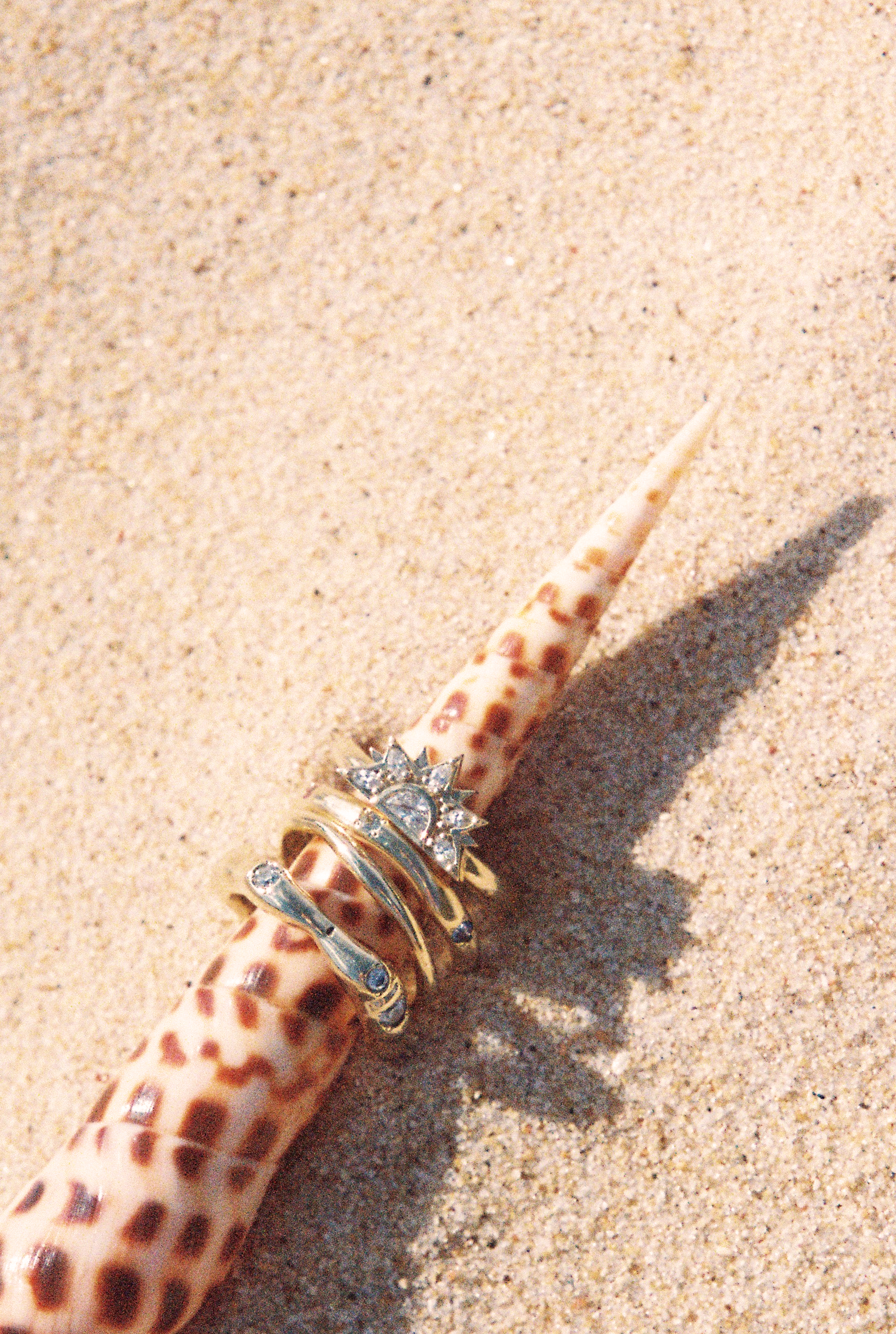 Holly Ryan Imagines A New World And New Collection, El Agua Magica