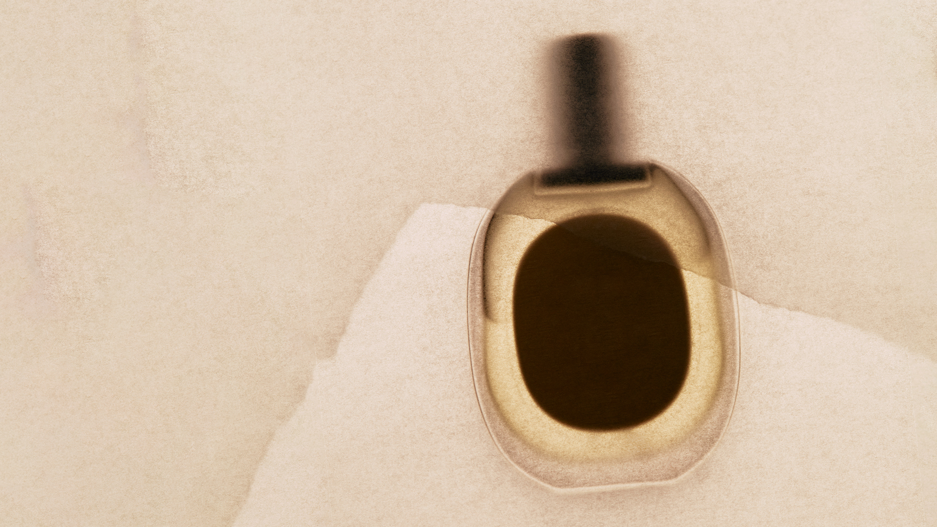 Blurred Borders - Grazia