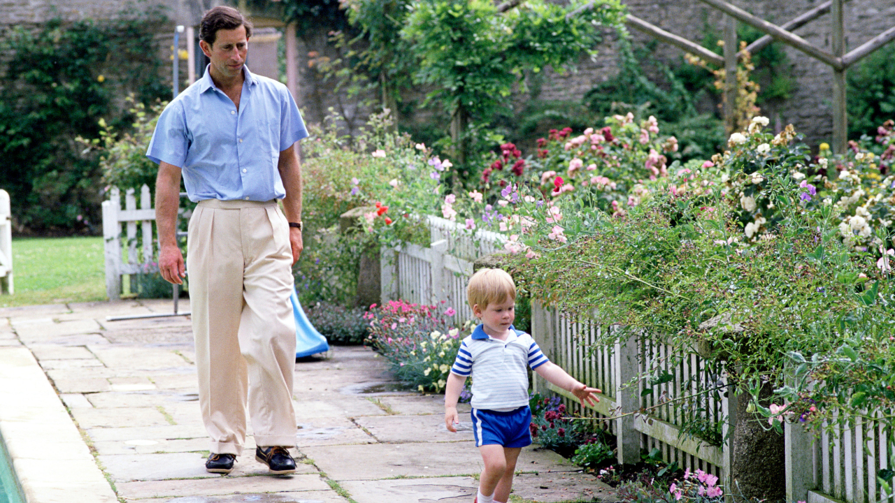 Prince Harry & King Charles Met In London For 30 Minutes