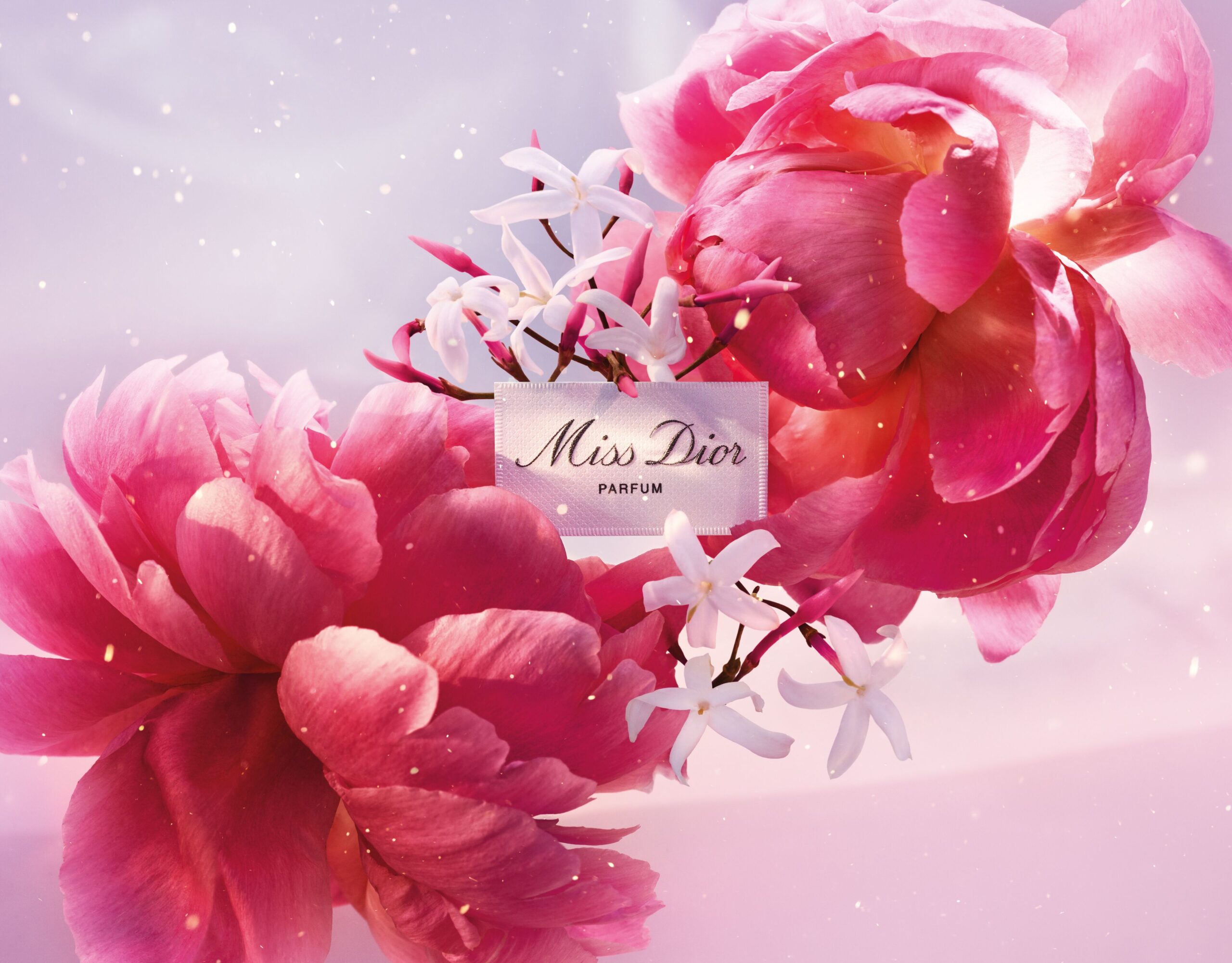 F001 MD PARFUMS 24 P04G Etiquette_CMJK_CROP_L4_F39 - Grazia