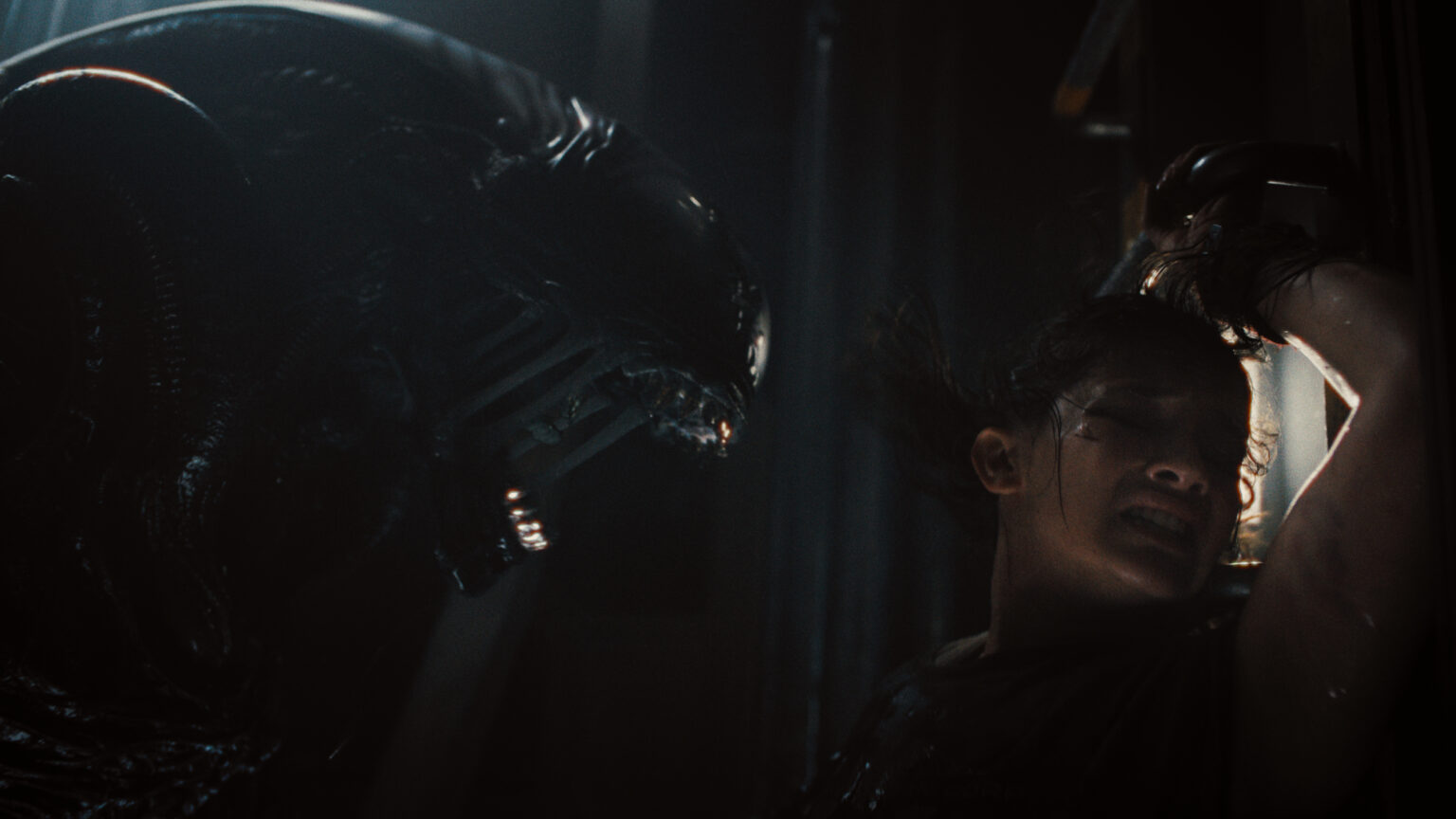 Cailee Spaeny On 'Alien: Romulus', Legacy & Midwest Princesses