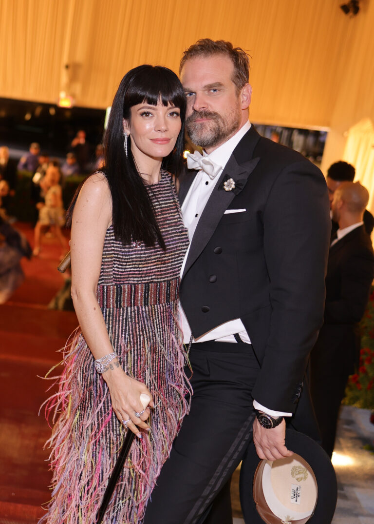 Lily Allen & David Harbour Split: Cheating Rumours & Raya