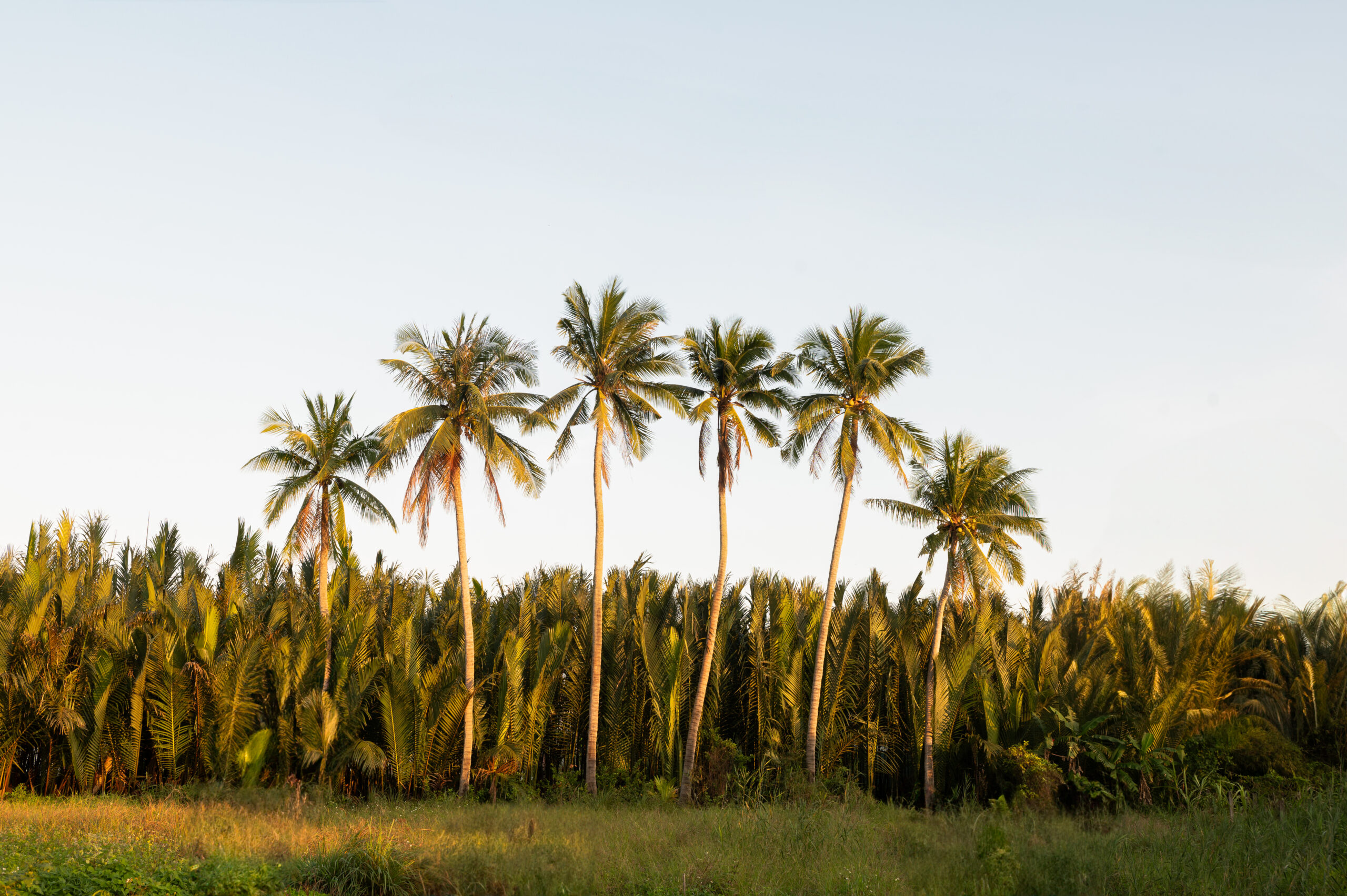 Hoi An-2-Village_Namia_Landscape-SLH - Grazia